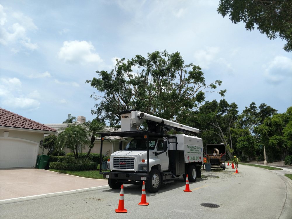 TREE SCAPING OF NAPLES - Updated November 2024 - 12 Photos - 1180 23rd ...