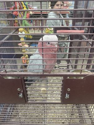 FINS FEATHERS PAWS & CLAWS - Updated January 2026 - 38 Photos & 54 ...