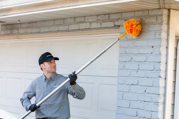 BUG SHARK - Updated December 2025 - 24 Reviews - 4710 Interstate Dr ...