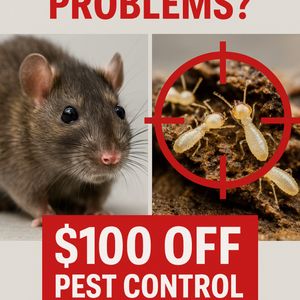 ALL-SAFE PEST & TERMITE - Updated October 2025 - 77 Photos & 95 Reviews ...