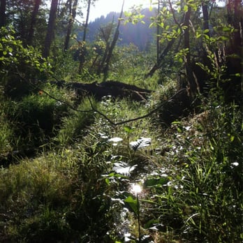 CISPUS LEARNING CENTER - Updated September 2025 - 13 Photos - 2142 ...