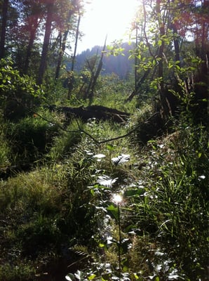 CISPUS LEARNING CENTER - Updated September 2025 - 13 Photos - 2142 ...