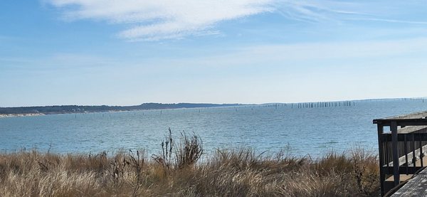 CHESAPEAKE BAY BRIDGE -TUNNEL - Updated May 2026 - 339 Photos & 122 ...