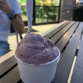 ALWAYS ICE CREAM - Updated December 2025 - 94 Photos & 37 Reviews - 8 ...