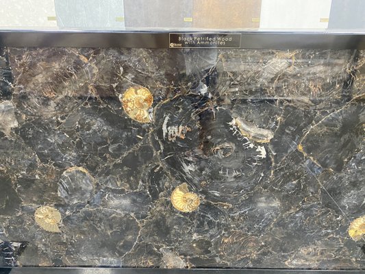 THE STONE COLLECTION - Updated July 2024 - 37 Photos & 31 Reviews ...