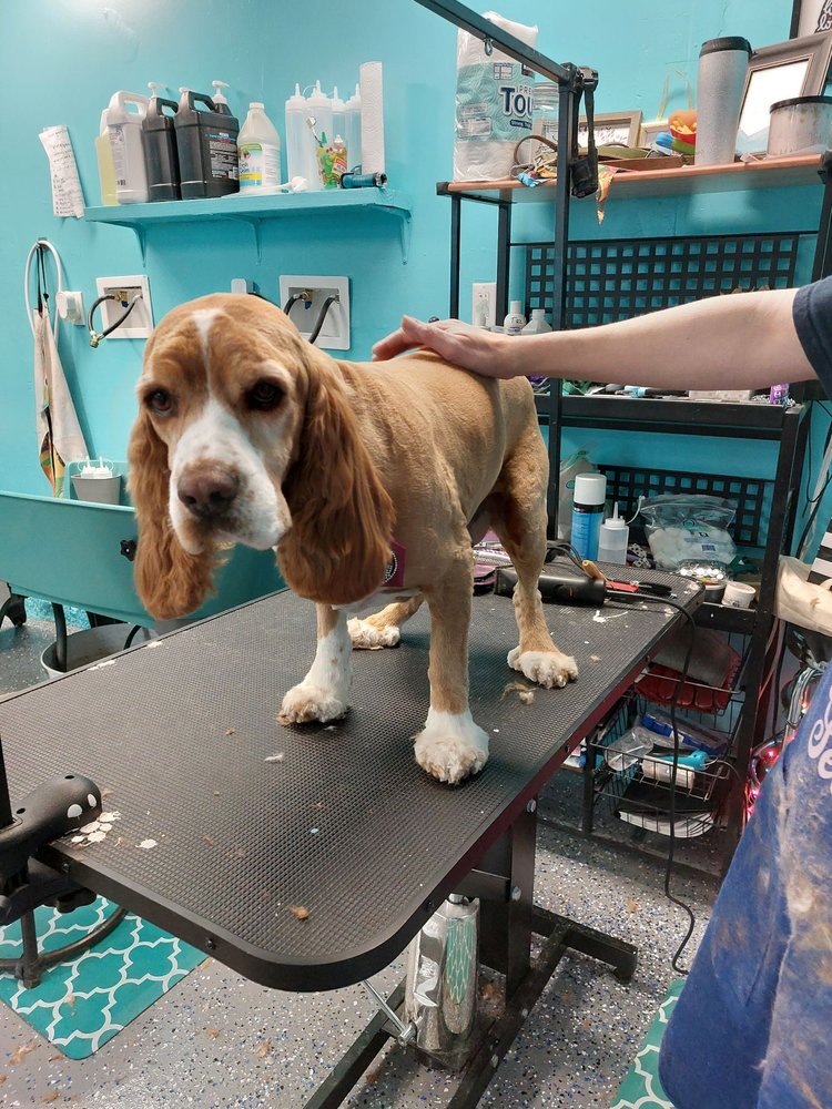 TACO SHEL - Updated July 2024 - 12 Photos & 46 Reviews - 7001 San ...