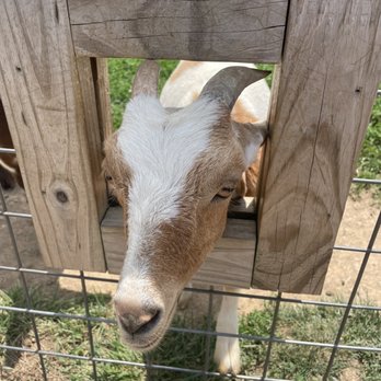 BUTLER’S ORCHARD - Updated October 2024 - 718 Photos & 397 Reviews ...