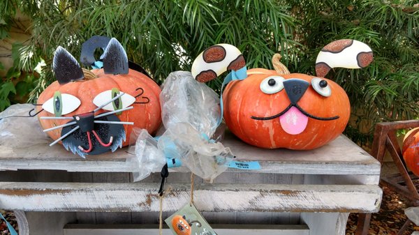 ALDEN LANE NURSERY - 308 Photos & 180 Reviews - Nurseries & Gardening ...