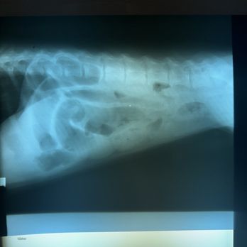 DR. BUTCHKO - Updated December 2024 - 44 Photos & 79 Reviews - 5448 ...