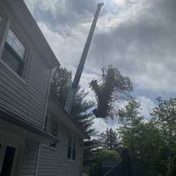 MAHWAH TREE CORPORATION - 10 Photos & 14 Reviews - 92 North Ramapo Ave ...