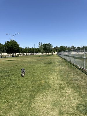BARKIN’ BASIN DOG PARK - Updated September 2024 - 178 Photos & 130 ...
