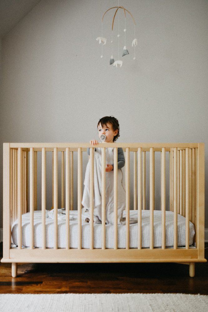 WHIT MARGOLIS - Updated August 2024 - 20 Photos - Asheville, North ...