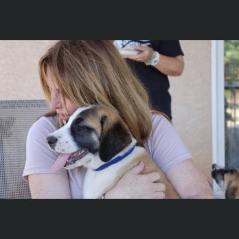 CENTENNIAL ANIMAL HOSPITAL - Updated February 2025 - 72 Photos & 290 ...