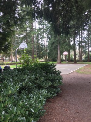 IVANHOE PARK - Updated December 2025 - 17 Photos - 16600 Northup Way ...