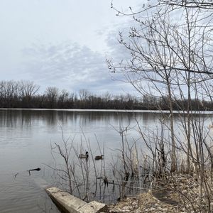 BOULDER RIDGE WILD ANIMAL PARK - Updated January 2026 - 156 Photos & 61 ...