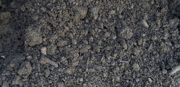 DBL DISPOSAL SERVICES - Updated December 2025 - 333 Tenth Street ...