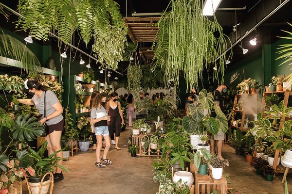 PLANTOEM - 395 Photos & 77 Reviews - 3457 Waialae Ave, Honolulu, Hawaii ...