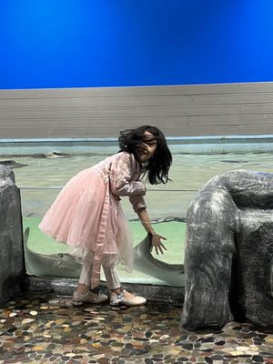 BLUE ZOO - Updated January 2026 - 149 Photos & 31 Reviews - 6401 ...