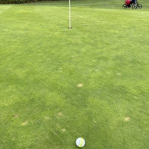 TRIGGS MEMORIAL GOLF COURSE - Updated July 2025 - 34 Reviews - 1533 ...