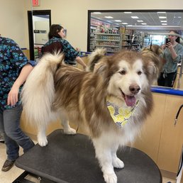 Petsense Reviews | Read Customer Service Reviews of petsenseonline.com