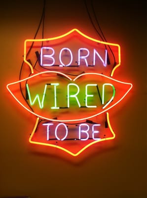 SNODGRASS-KING DENTAL ASSSOCIATES - Updated December 2025 - 24 Photos ...