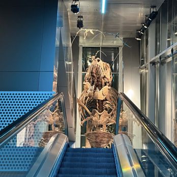 PEROT MUSEUM OF NATURE AND SCIENCE - Updated April 2025 - 2428 Photos ...