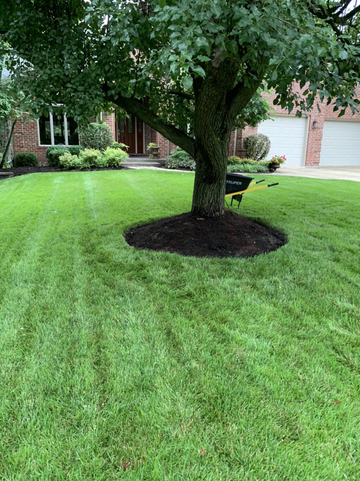 SOLIS LANDSCAPING - Updated September 2025 - West Chicago, Illinois ...