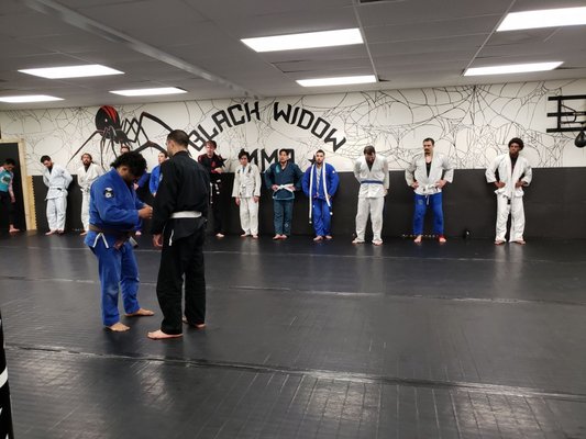 BLACK WIDOW MMA - Updated April 2025 - 32 Photos & 10 Reviews - 2007 ...