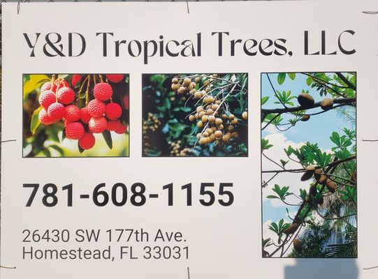 Y & D TROPICAL TREES - Updated April 2024 - 26430 SW 177th Ave, Redland ...