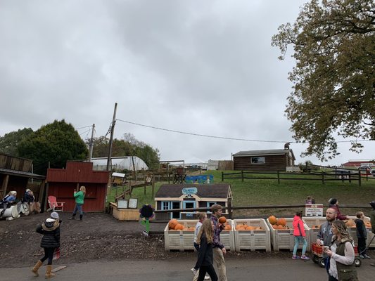 SOERGEL ORCHARDS & GARDEN CENTER - 238 Photos & 129 Reviews - Fruits ...