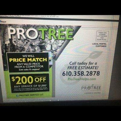 PRO TREE SERVICES - Updated December 2025 - 20 Photos & 26 Reviews - 14 Crozerville Rd, Aston ...