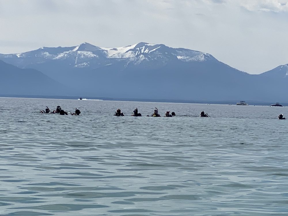 MARIN DIVING CENTER - Updated January 2026 - 27 Photos & 69 Reviews ...