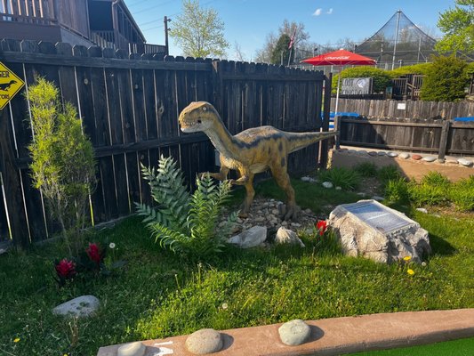 FUN ‘N’ STUFF - Updated May 2025 - 37 Photos & 59 Reviews - 661 ...