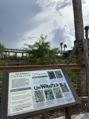 EVERGLADES ELEVATED BOARDWALK - Updated December 2025 - 75 Photos & 11 ...