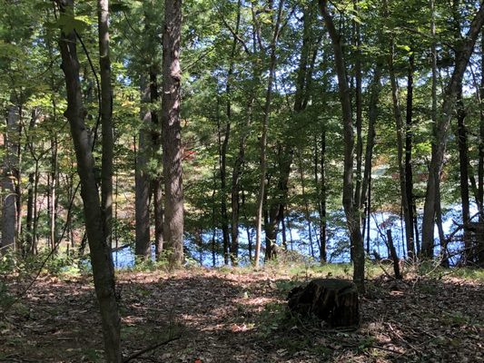 Saxeville, WI Map & Directions - MapQuest