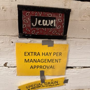 MEMORY LANE STABLES - Updated December 2025 - 168 Photos & 123 Reviews ...