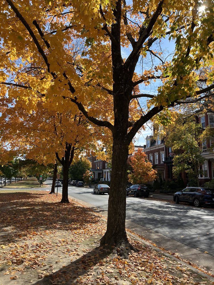 MONUMENT AVENUE - Updated July 2025 - 105 Photos & 21 Reviews - 3321 ...