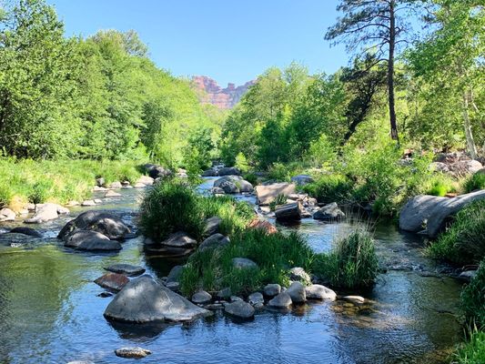 THE MASA PROJECT - Updated September 2025 - 61 Photos - Phoenix ...