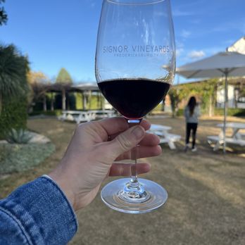 SIGNOR VINEYARDS - Updated November 2024 - 680 Photos & 270 Reviews ...
