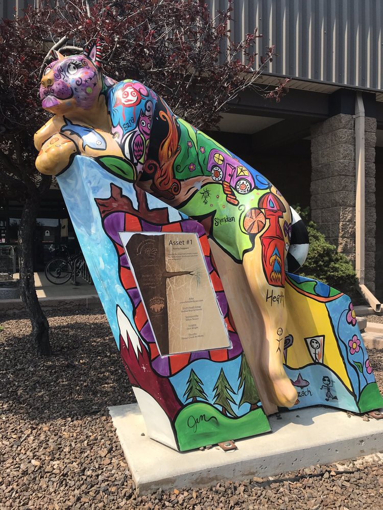 BOOKMANS ENTERTAINMENT EXCHANGE - 47 Photos & 101 Reviews - 1520 S ...