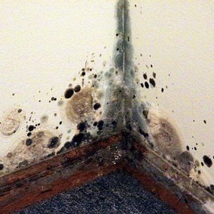 GALAXY SKATEWAY - 34 Photos & 67 Reviews - Skating Rinks - 3737 Davie ...