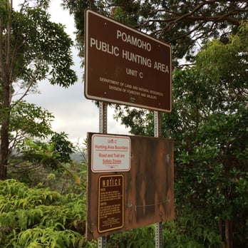 POAMOHO RIDGE TRAIL - Updated December 2025 - 98 Photos & 12 Reviews ...