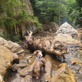 LEWIS FALLS - Updated December 2025 - 45 Photos - Azusa, California ...