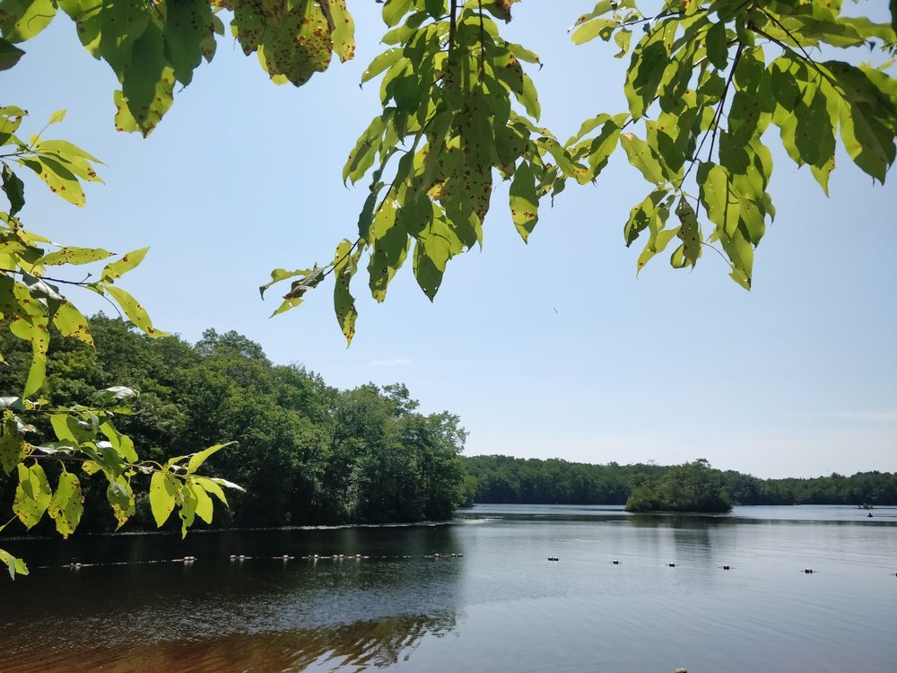 PACHAUG STATE FOREST - GREEN FALLS AREA - Updated May 2024 - 13 Photos ...