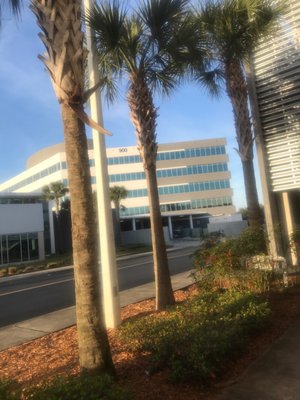 FLORIDA BLUE - Updated June 2026 - 41 Photos & 63 Reviews - 4800 ...