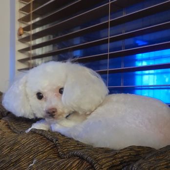 ADVANTAGE VETERINARY CENTER - Updated September 2025 - 17 Photos & 29 ...