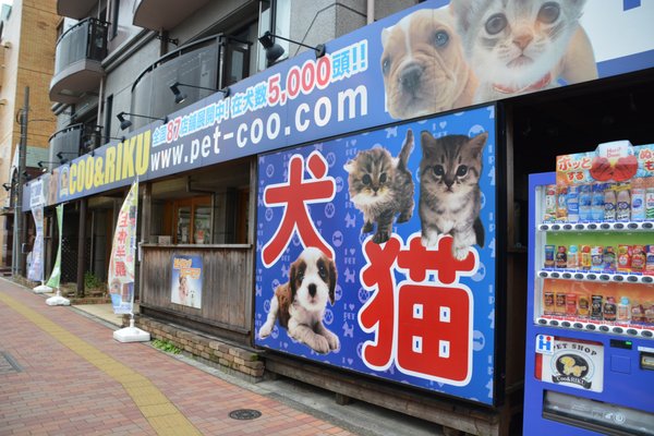 COO & RIKU PET SHOP - Updated October 2025 - 南長崎4-6-6, 豊島区, 東京都, Japan ...