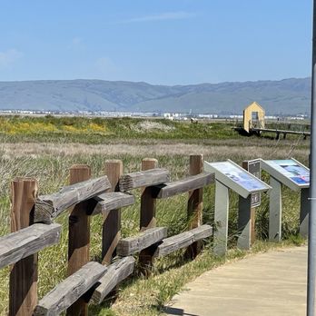 ALVISO MARINA COUNTY PARK - Updated September 2025 - 1747 Photos & 226 ...
