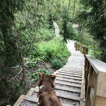 RENFREW RAVINE PARK - Updated November 2025 - 14 Photos - 3900 Renfrew ...