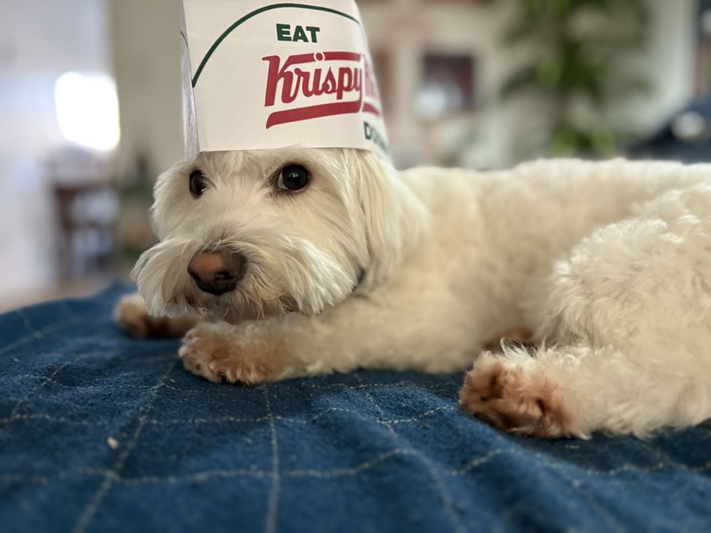 KRISPY KREME - Updated December 2025 - 85 Photos & 102 Reviews - 1201 W ...